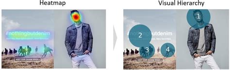 Visual Hierarchy Brainsuite Academy