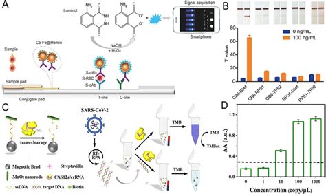Nanozyme Based Detection Of Sars Cov 2 A Schematic Illustration Of The Download Scientific