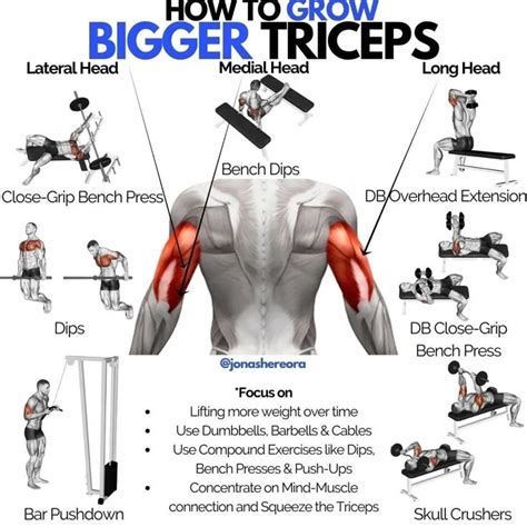 A Diagram Showing How To Use The Bigger Muscles