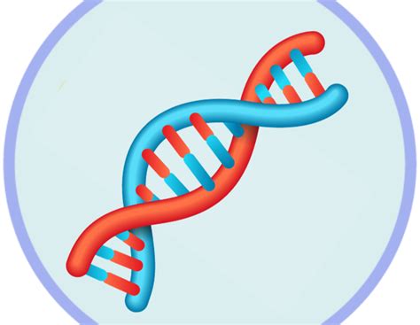 Ibd Multifactorial Ibd Eii