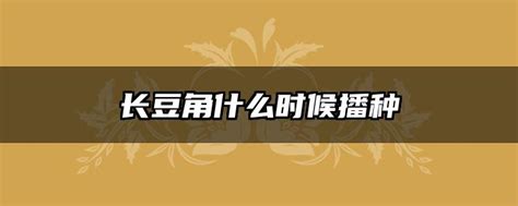 长豆角什么时候播种 蓝妖花园
