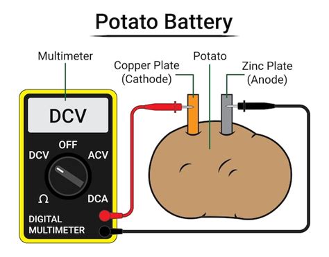 Premium Vector Potato Battery And Multimeter
