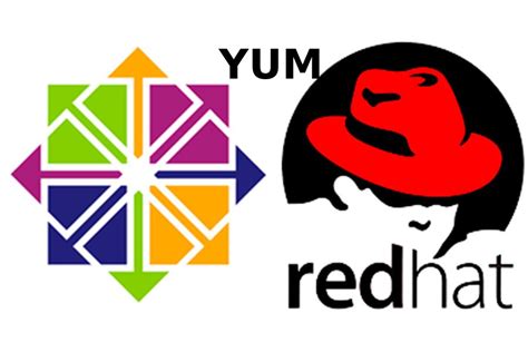 Clean Up Var Cache Yum Constantly Filling File System In CentOS And RHEL Linux Walking In