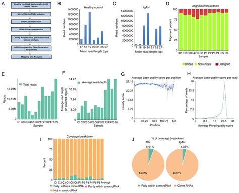 Mirna Sequencing Analysis In Healthy Participants And Igan Patients Mirna Sequencing Analysis In Healthy Participants And Igan Patients