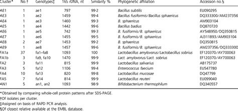 Clustering And Classification Of Bacilli Enterococci Lactobacilli And