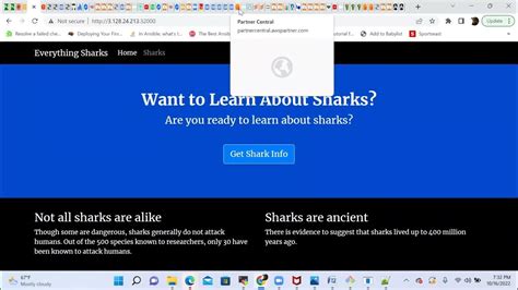 Loadbalancer And Nodeport Youtube