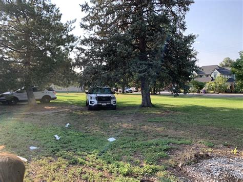 Dpd Use Parking Lot No Drive Through The Grass And Leave The Car