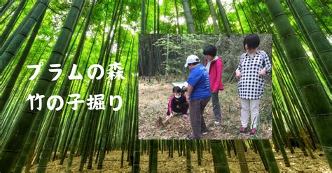 今年も竹の子掘りのシーズンがやって来ました NPO法人プラムの森