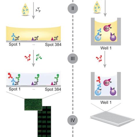 Schematic Illustration Of The Streptavidin Nps Based Fluorescent Download Scientific Diagram