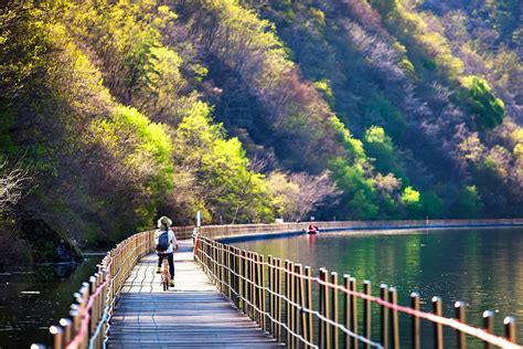 예약 전쟁 이유 있었네… 5월 황금 연휴 가족 여행객들 몰리는 국내 여행지 1위는 여행을말하다