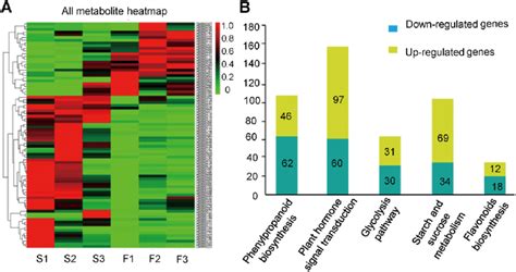 Metabolome Profiling Of Male Sterile And Male Fertile Flower A Heat