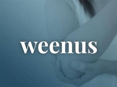 What Does Weenus Mean Slang Definition Of Weenus Merriam Webster