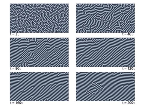 Phase Separation Of A Two Dimensional Very Viscous Block Copolymer Download Scientific Diagram
