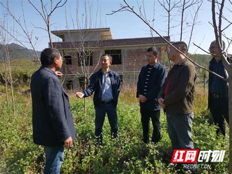 陈历贤调研指导太芝庙镇潭府乡潭溪镇脱贫攻坚工作新邵要闻新邵新闻网