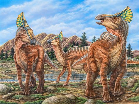 Utahceratops And Kosmoceratops