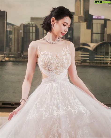 Lin Min Chen Wiki Biography Age Gallery Spouse And More