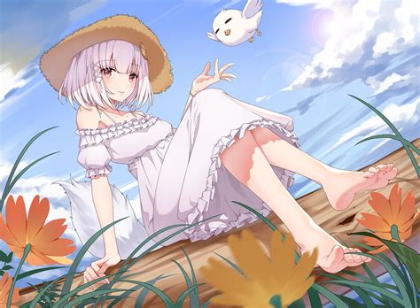 Barefoot Hat Pixiv Aluo Feet Birds White Hair Anime Girls Anime