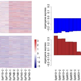 Expression Pattern Clustering Analysis Of Sex Biased Genes Residing In Download Scientific