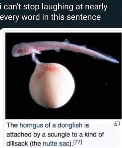 the scientists had fun naming these r theyknew