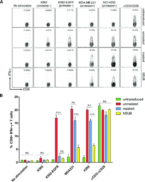 Intracellular Cytokine Staining Of Various Car T Cells Stimulated With