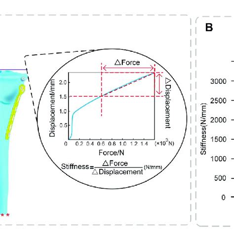 Stiffness Of Tibia A Stiffness Calculation Force Displacement Download Scientific Diagram