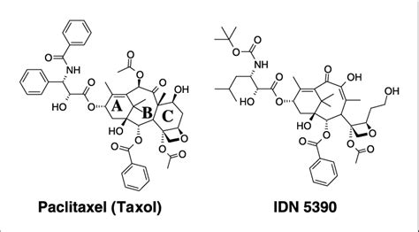 Chemical Structure Of Paclitaxel And Idn5390 Download Scientific Diagram