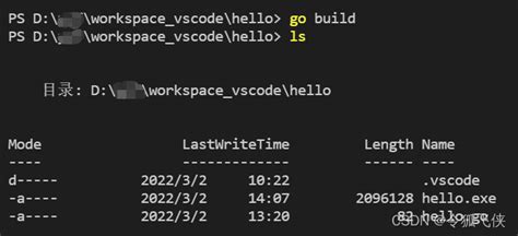 vscode go 入门小结 vscode关闭gomod csdn博客