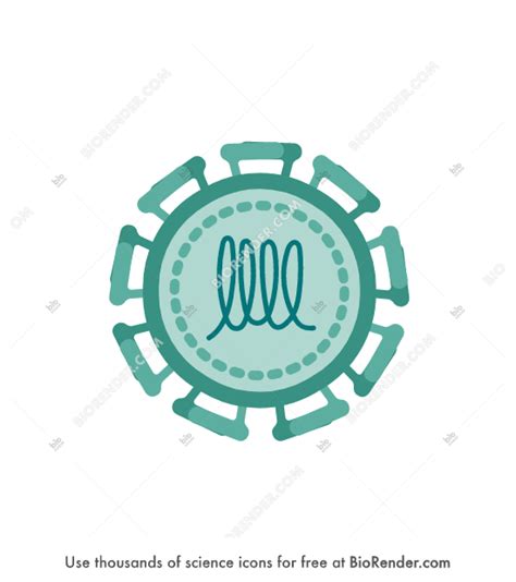 Free Hepatitis C Icons Symbols And Images Biorender