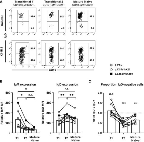Igd Positive B Cells Outcompete Igd Negative B Cells Within The Naïve B
