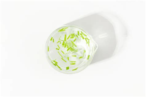 허브 식물 녹지 식물 입자 잔디 유기물 생물학 미생물학 광합성 녹색 에너지 에센셜 오일 유기농 화장품 천연 화장품 바이오 연료 조류 연구 자연 녹색 실험실 실험 실험실 컵