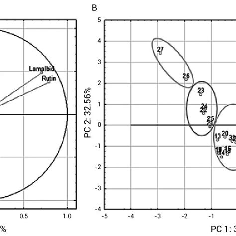 Pca Analysis Results A Scores Plot B Loading Plot For 33 Download Scientific Diagram