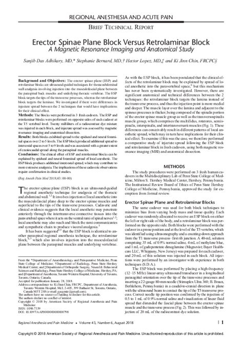Pdf Erector Spinae Plane Block Versus Retrolaminar Block A Magnetic Resonance Imaging And