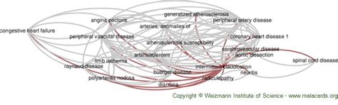 Intermittent Claudication Disease Malacards Research Articles Drugs Genes Clinical Trials