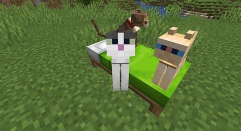 Minecraft Cat Breeding 101 Tips And Tricks For Success