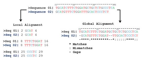 37 Sequence Alignment Biodata Science