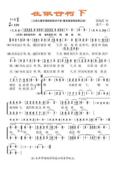 在银杏树下汤子星 董芙嘉 汤子星 歌谱 简谱