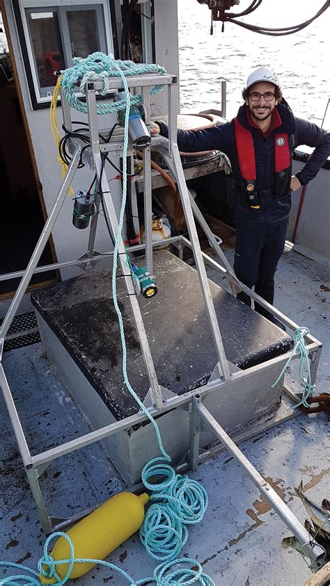 Combining Fishfinders With Underwater Cameras The Future Of Scientific Surveys