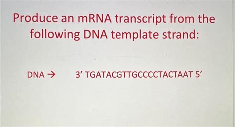 Solved Produce An MRNA Transcript From The Following DNA Chegg Com