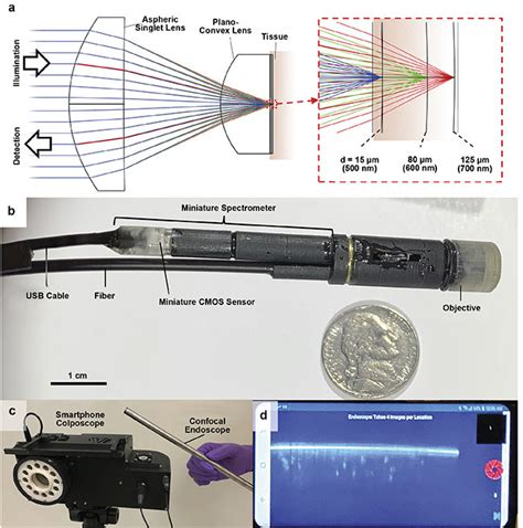 Portable Reflectance Confocal Microscopy For Low Resource Settings Features Nov Dec 2022
