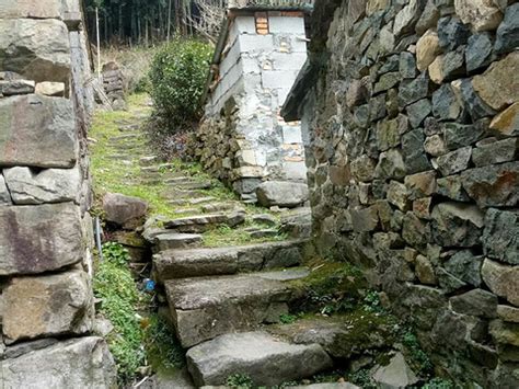 2024杜徐岙村 旅游攻略 门票 地址 问答 游记点评余姚旅游旅游景点推荐 去哪儿攻略
