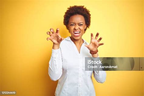 고립 된 노란색 배경을 통해 아프리카 계 미국인 비즈니스 여성은 고양이로 발톱 제스처를하고 재미 웃고 공격적 으르렁거리다에 대한 스톡 사진 및 기타 이미지 Istock