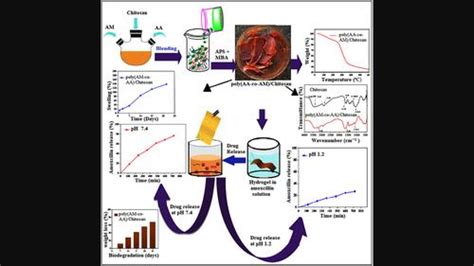 用于阿莫西林药物控释的聚（丙烯酰胺 丙烯酸） 壳聚糖（源自鱼鳞）的合成和表征 Polymer Engineering And Science X Mol