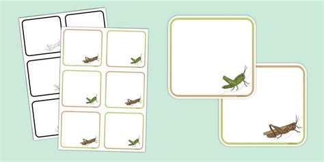 Grasshopper Peg Labels Teacher Made Twinkl