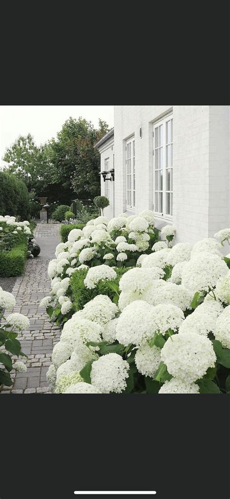 Pin Von Leanne Reading Auf Acreage Poolgarden