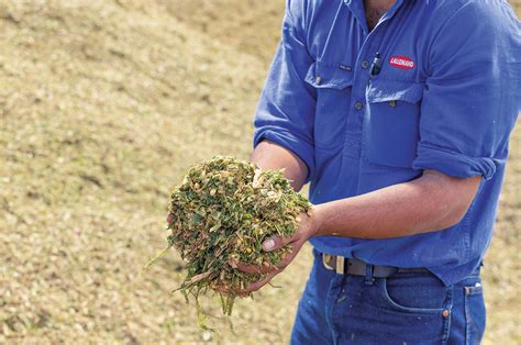 Maximizing Forage Quality Key Considerations For Successful Ensiling Ag Proud