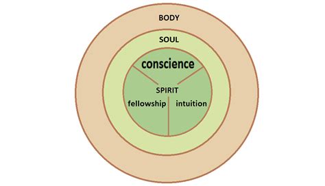 What It Means To Have A Conscience By Joshua Davis Medium