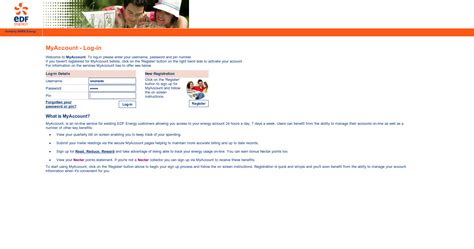 Firefox One Form Multiple Password Fields Super User