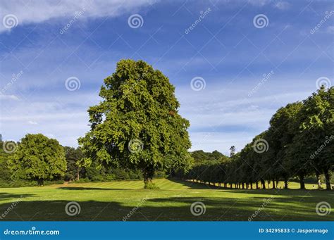 Grant Park Forres Stock Image Image Of Scot Highlands 34295833