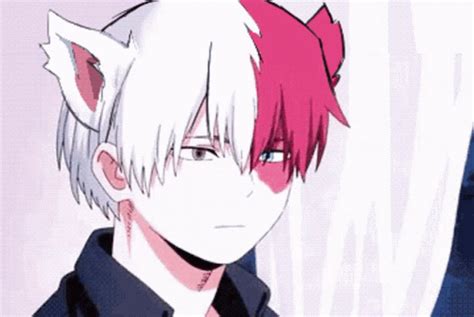 Todoroki S