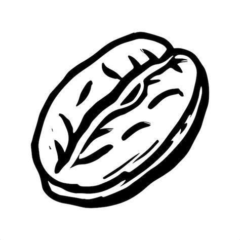 Premium Vector Hand Drawn Illustration Of Coffee Bean